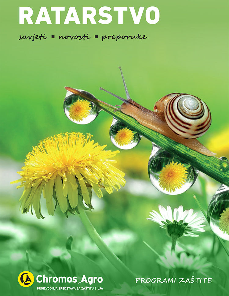 Orijentacijski programi zaštite